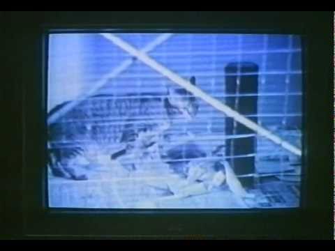 Richard Grieco - Catman (Tomcat Dangerous Desires) Trailer 1992