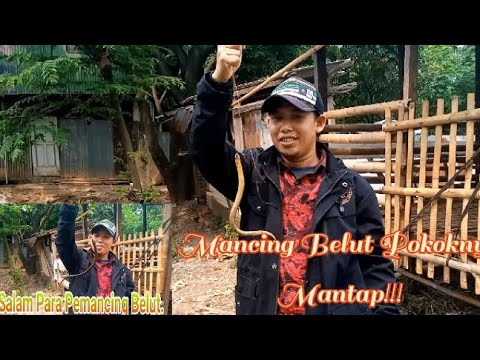 Salam.fishing belut urek\