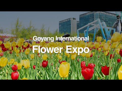 Opening day of Goyang Int'l Flower Expo | Exploring Korea!