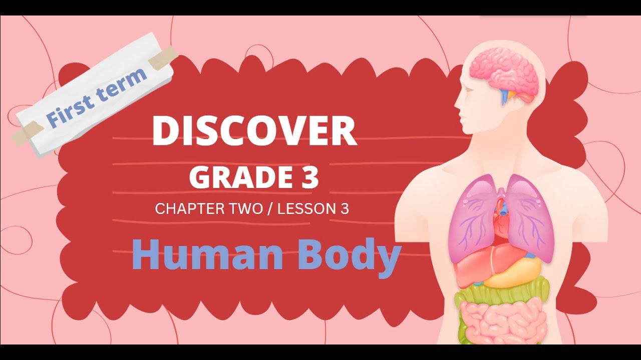 HUMAN BODY/ Discover grade 3 first term 2025 - YouTube