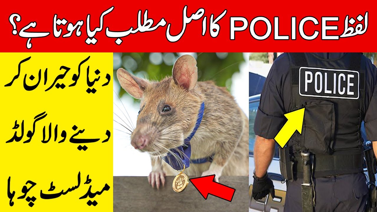 What is the real meaning of police? Amazing Facts | Reality Facts - YouTube