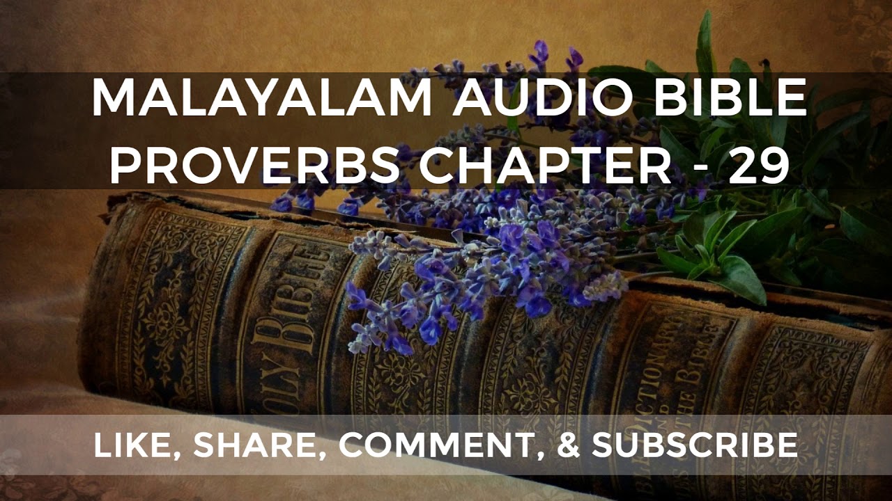 Proverbs Chapter - 29 - YouTube