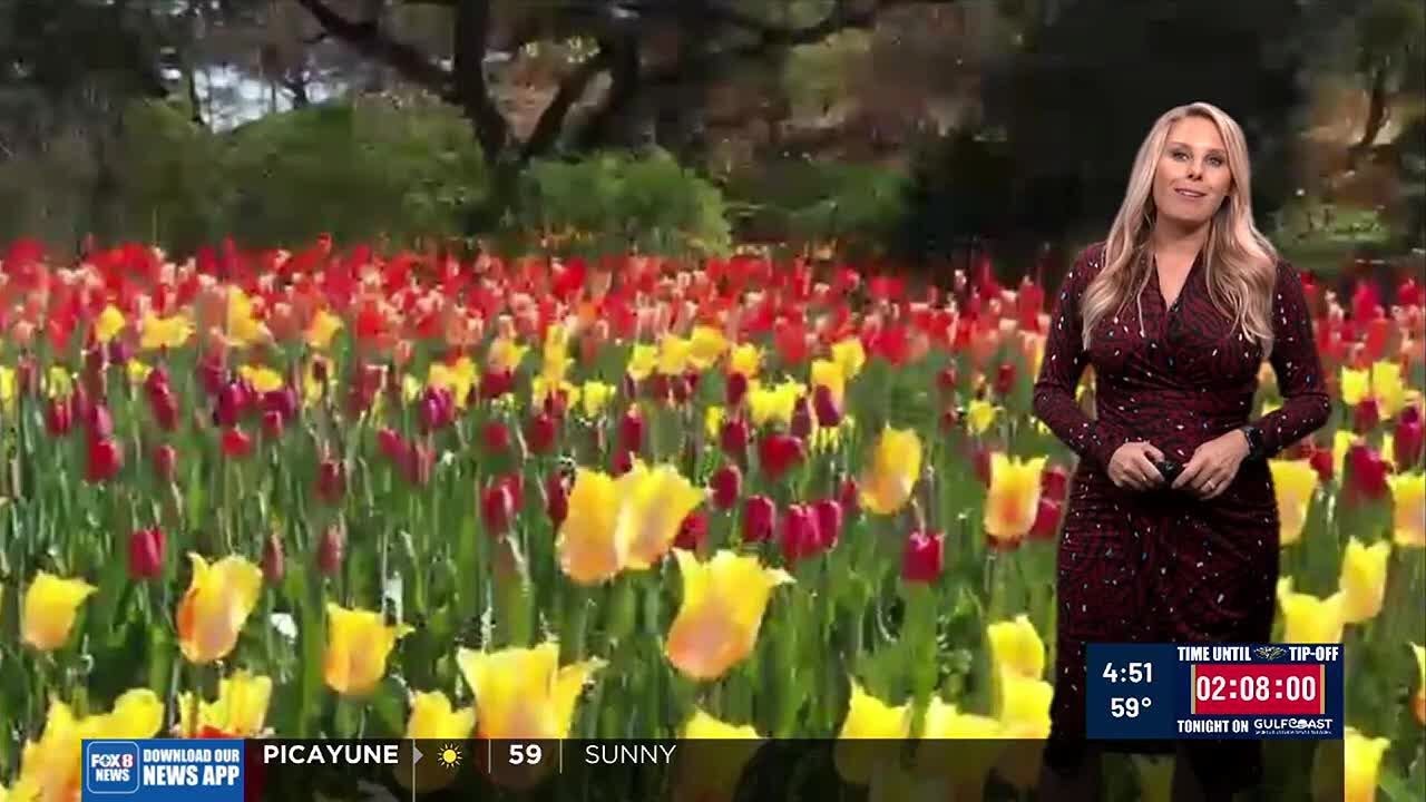 Warm weather feels like spring, but experts say hold off on gardening ...