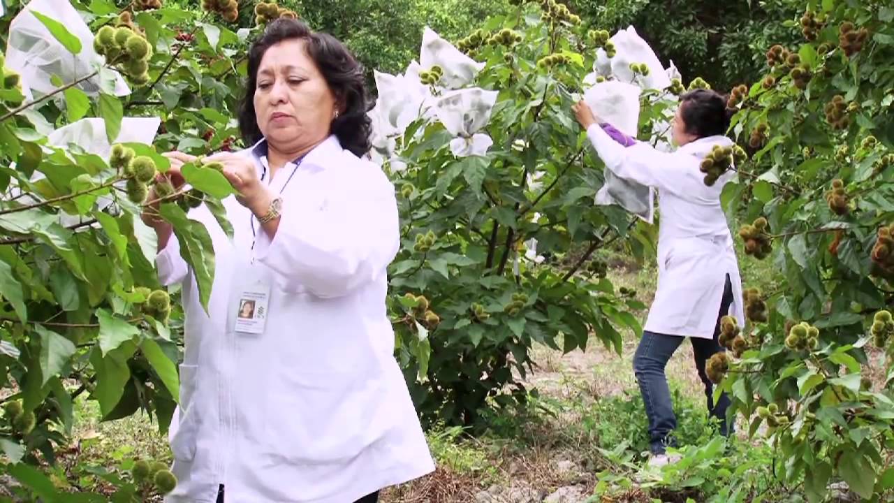 CICY Who we are? - YouTube