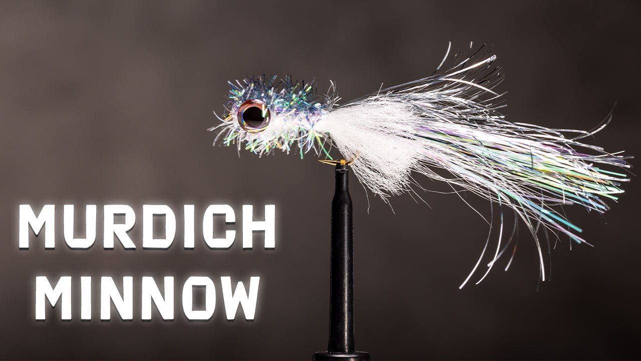 Murdich Minnow Fly | Great Smallmouth Pattern | Fly Tying Tutorial ...
