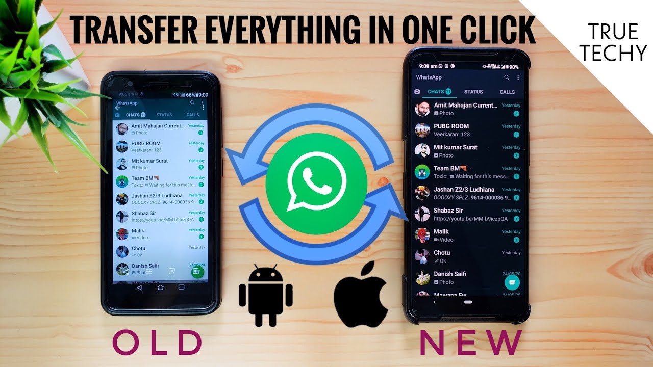 WhatsApp Data Transfer, Audio, Videos, Images, Docs,1 Click, iCareFone ...