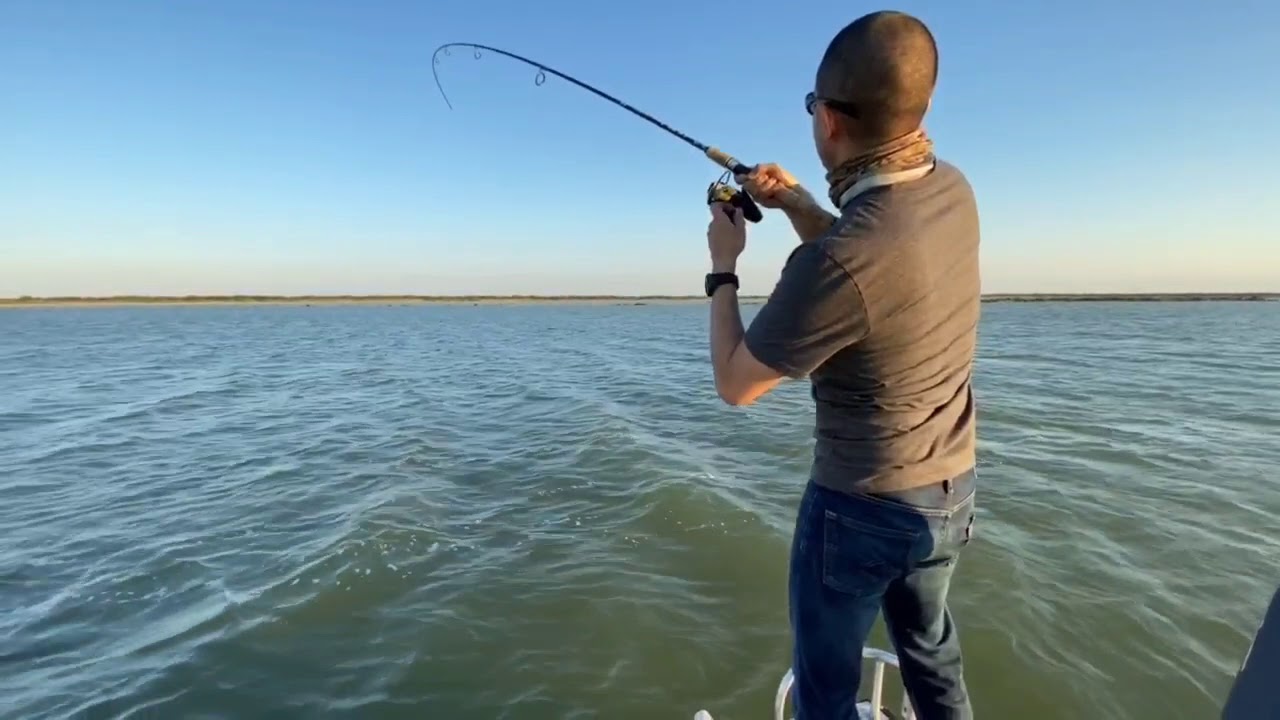 Mojo 30 inch Red Drum - YouTube
