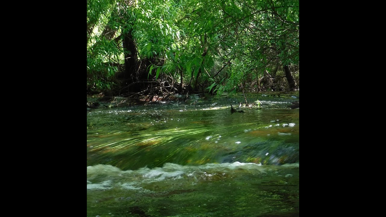 The FITZROY RIVER in Victoria Described - YouTube