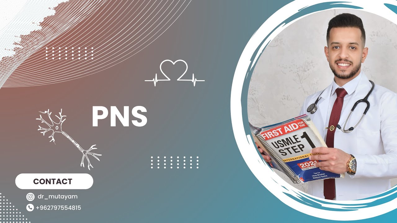 MU PNS Physio 1 - YouTube