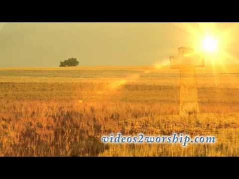 Wheat Field And Cross - YouTube