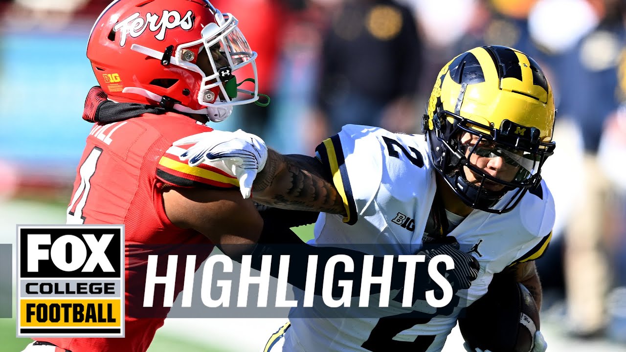 Here's a look at the top 10 plays of Michigan football's season