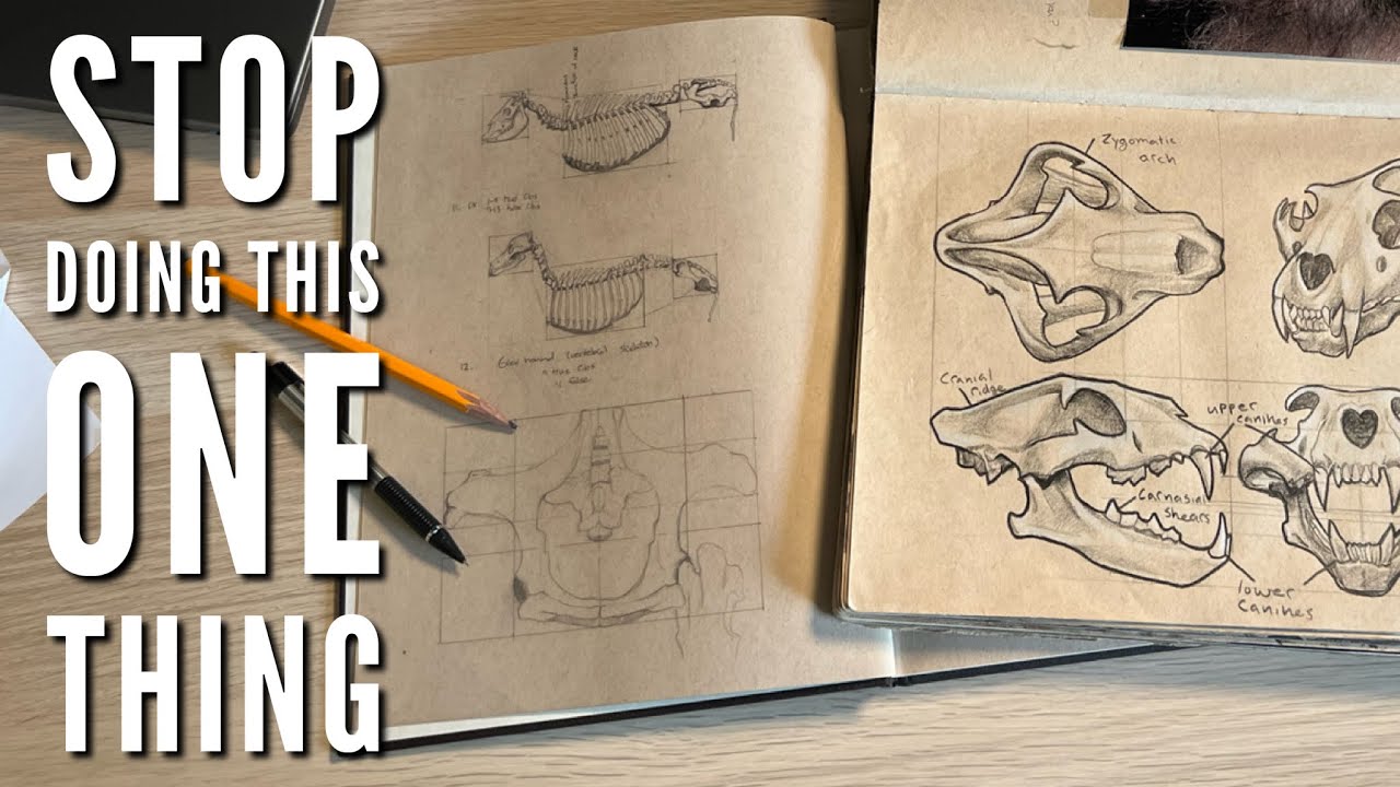 How to Use Your Sketch Book - YouTube