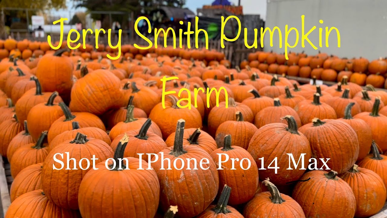 Jerry Smith Pumpkin Farm Shot On IPhone 14 Pro Max - YouTube