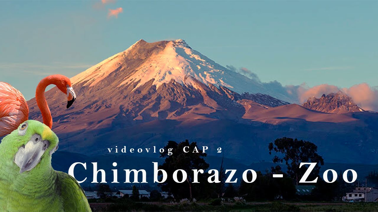 Un Viaje Inolvidable l EcoZoo / Chimborazo l Video Vlog l Cap 2 - YouTube