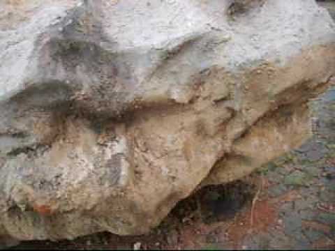 Cocozão de Ponta Grossa - YouTube