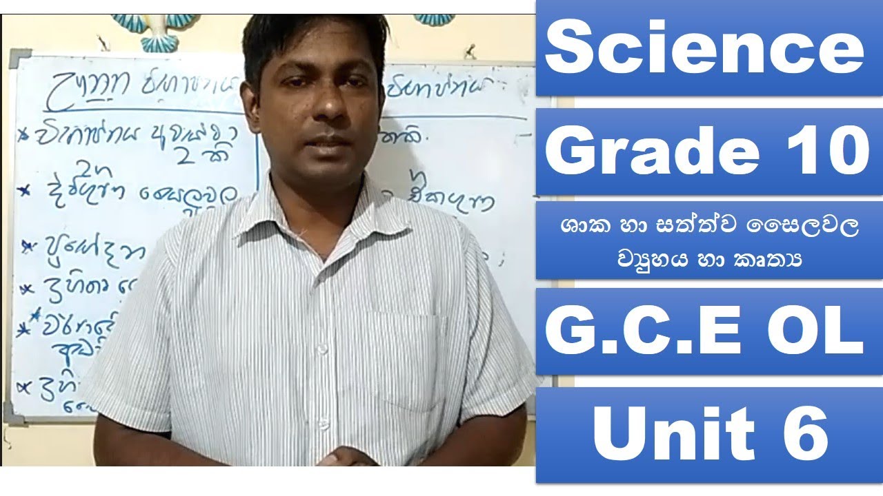 Grade 10 Science | Structure and Function of Plant and Animal Cells ...