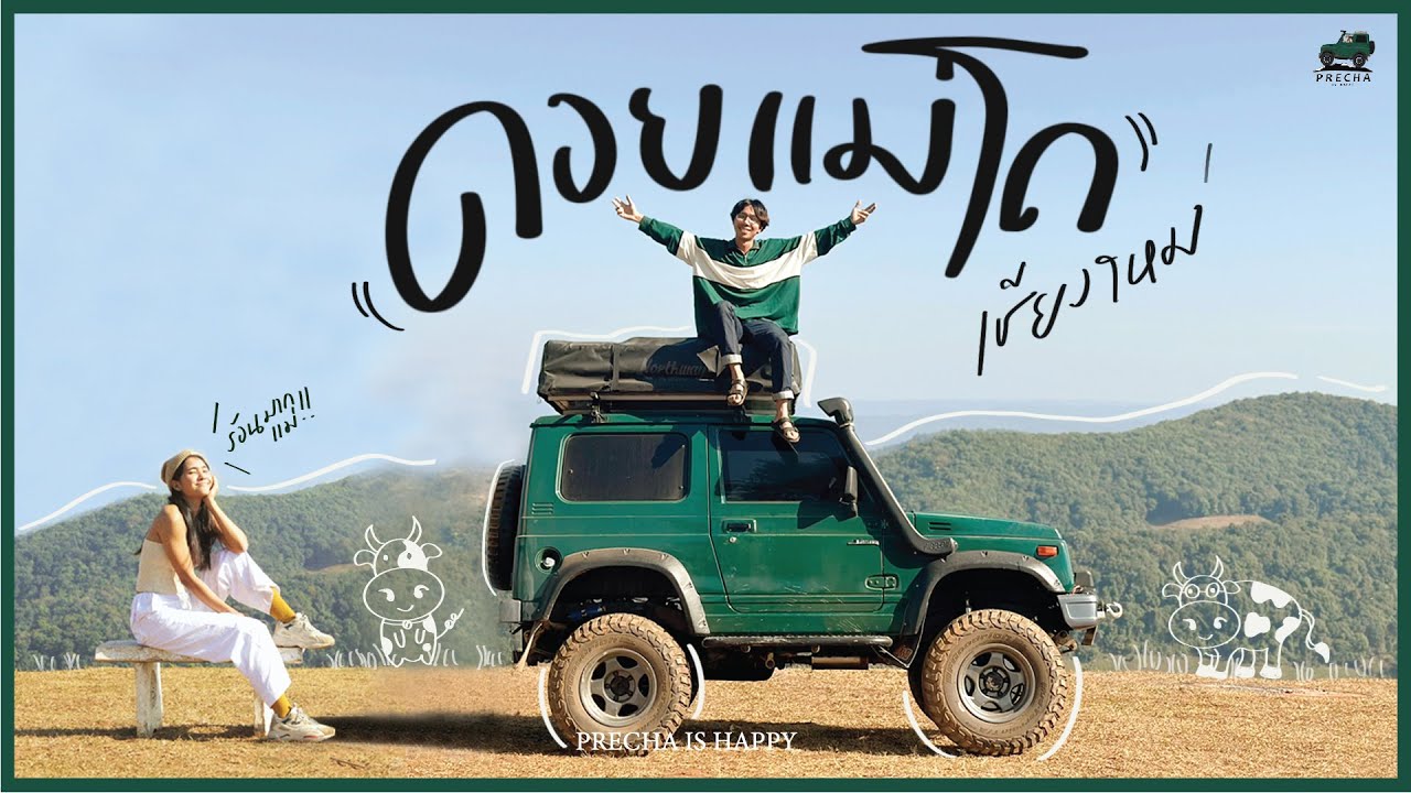 PRECHA IS HAPPY | ตามหาทุ่งหญ้าสีทอง ดอยแม่โถ เชียงใหม่ | One Day Trip ...