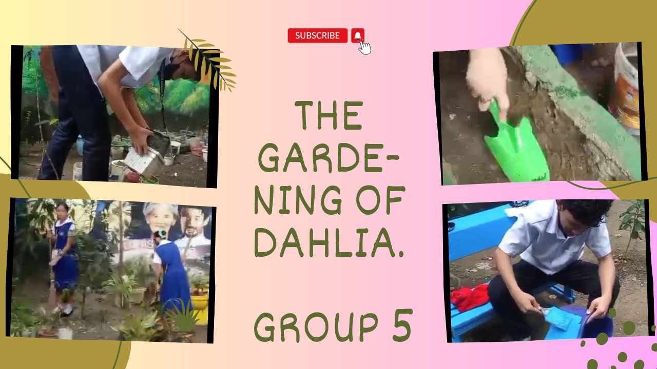 CLEANING THE GARDEN | GULAYAN SA PAARALAN | VII-DAHLIA | PNHS-Baclaran ...