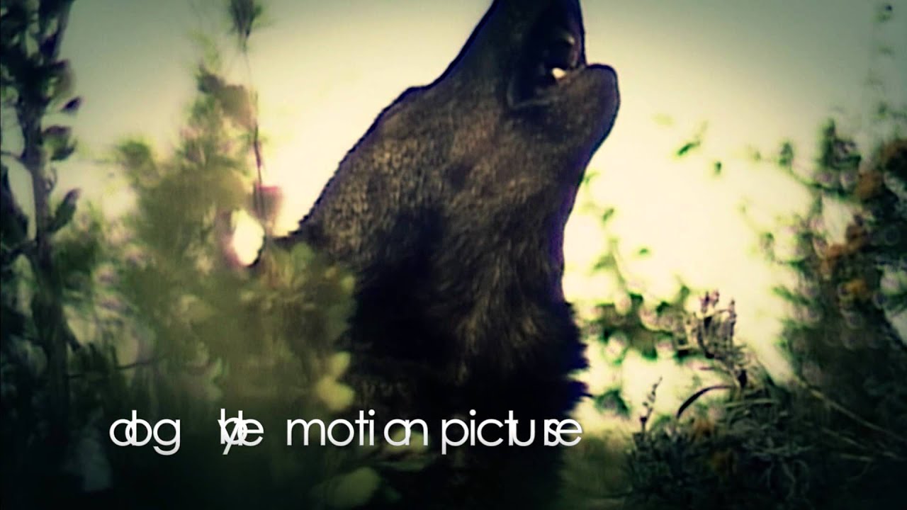 dogbyte motion pictures splash screen - YouTube