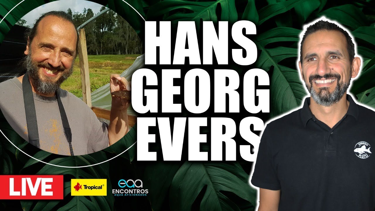 HANS GEORG EVERS - YouTube