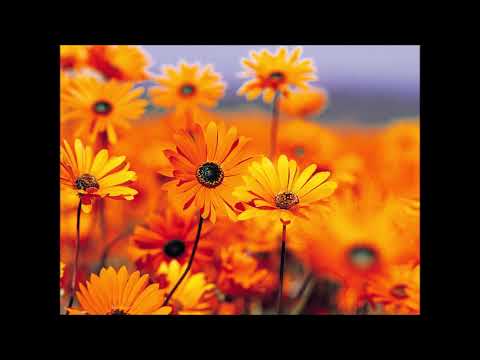 Burak Bozteke - Har-ı Aşk - #Şiir