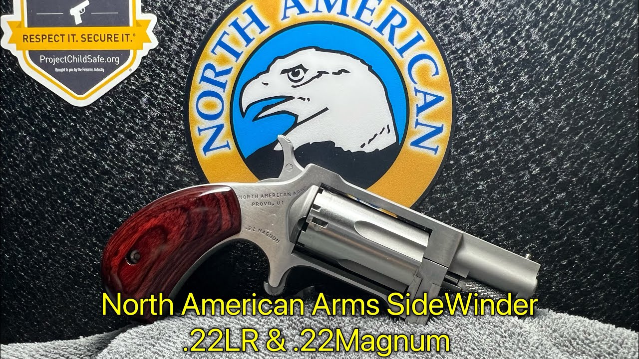 Share Gun (แชร์กัน) EP.5 ปืนเล็กจิ๋ว North American Arms SideWinder ...