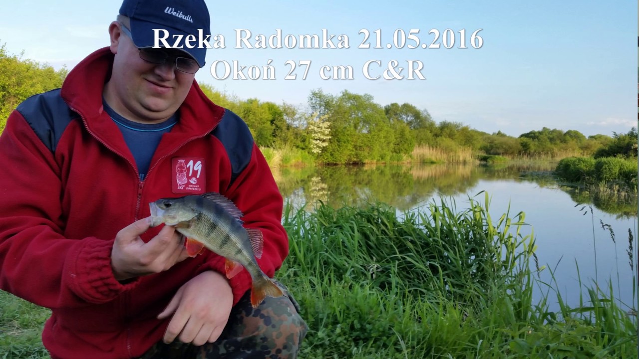 Ryby 2016 radom i okolice. C&R okręg radomski - YouTube