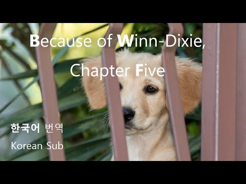 Because of Winn-Dixie, 다섯번째 이야기 :) 한국어번역, 영어ASMR - YouTube