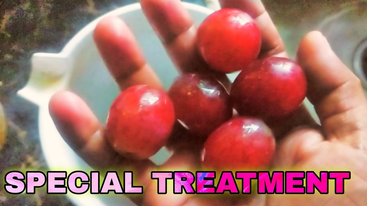 GRAPE FOR PIGEON - YouTube