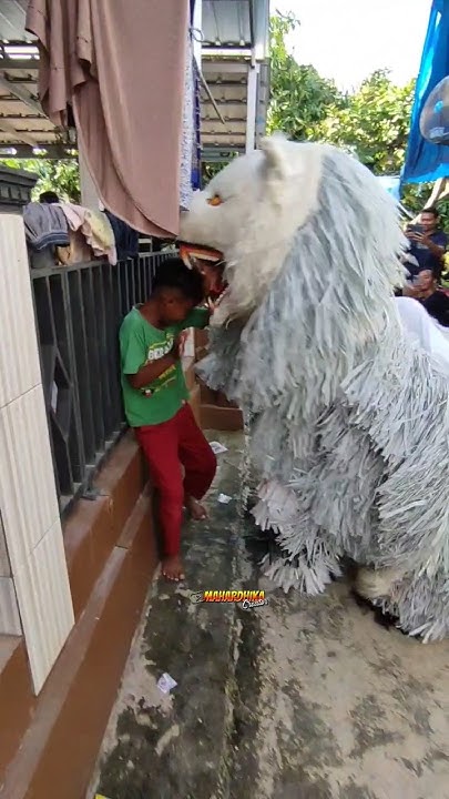 Bocil efef dikejar can macanan - YouTube