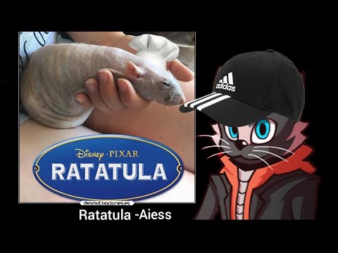 RATATULA - YouTube