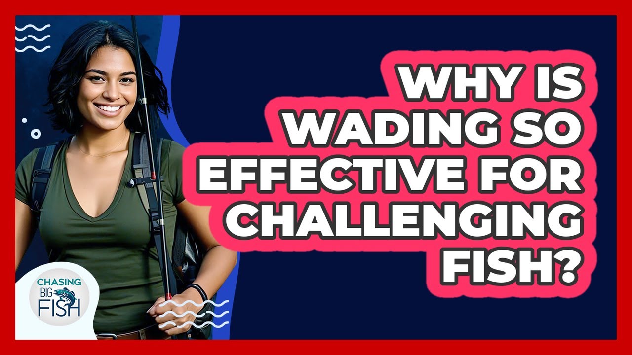 Why Is Wading So Effective For Challenging Fish? - Chasing Big Fish - YouTube