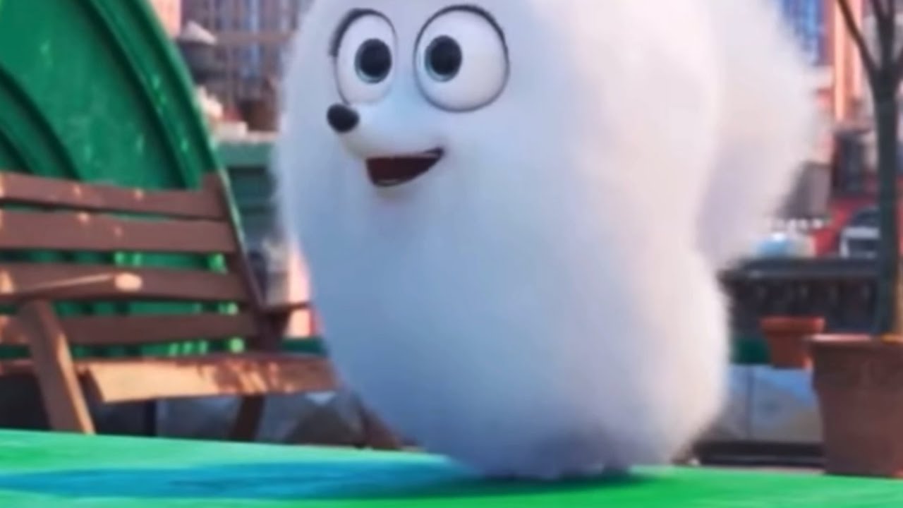 The Secret Life of Pets Gidget asks Tiberius to find Max movie Tell ...