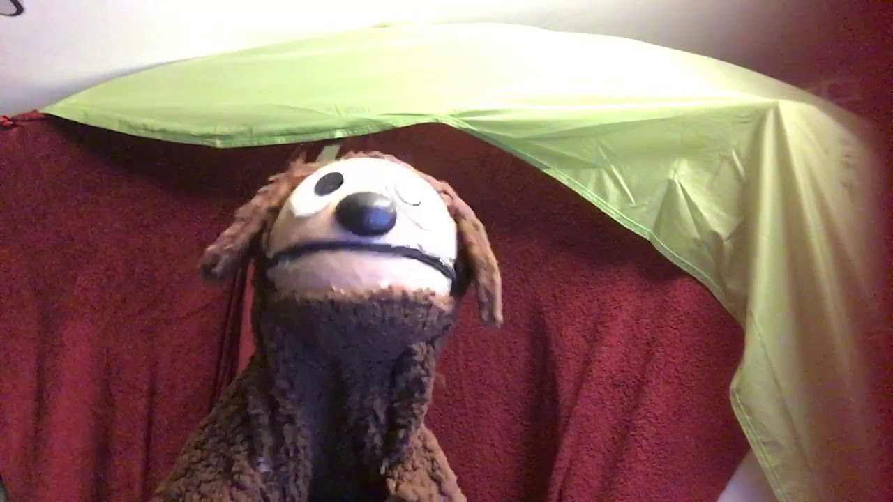 Rowlf the Dog Sings Who Let the Dogs Out - YouTube
