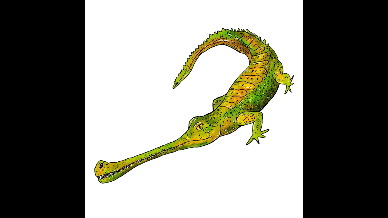 Artisticus 368 | The Gharial * India | Digital art * Drawing Tutorial ...