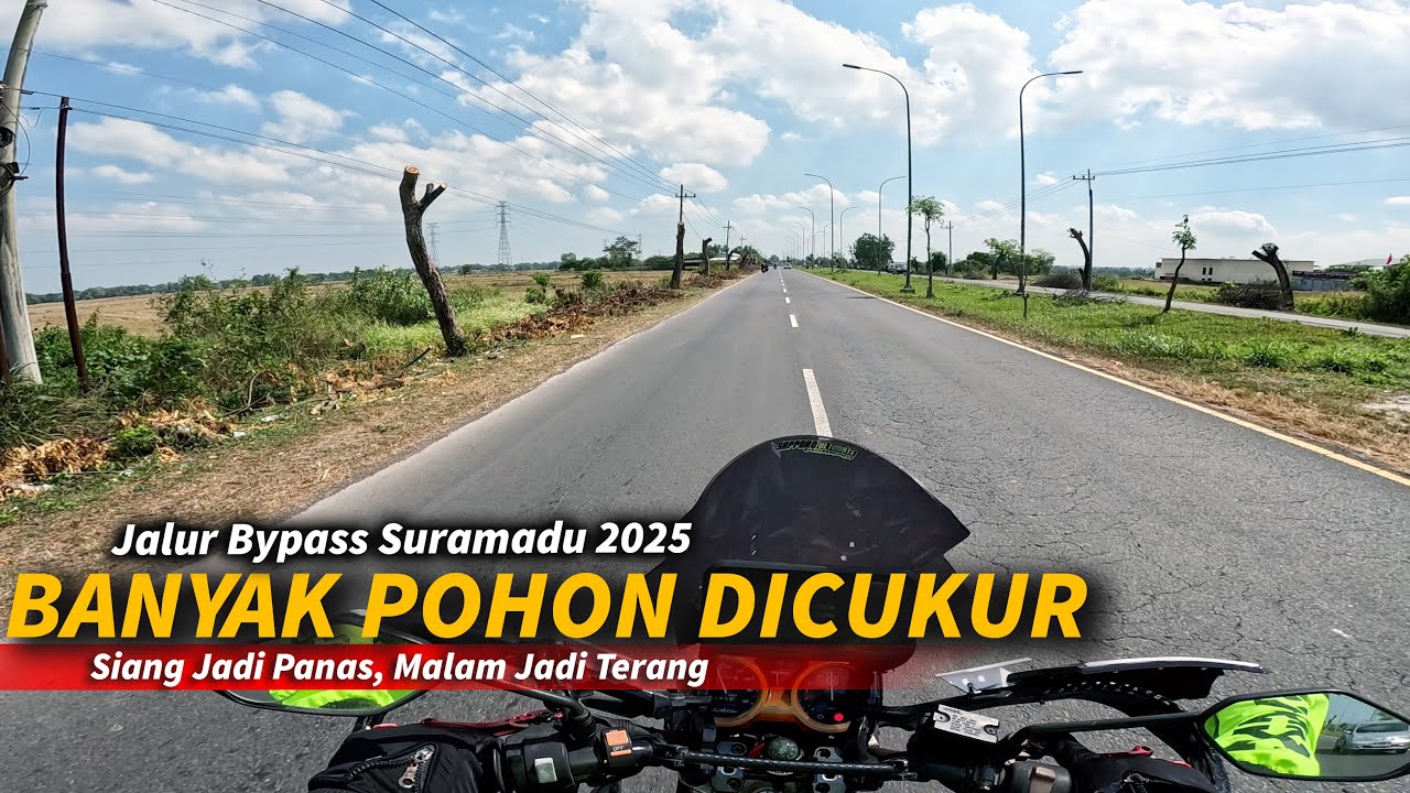 Pohon Banyak Dipapas - Siang Jadi Panas Malam Jadi Terang | Update ...