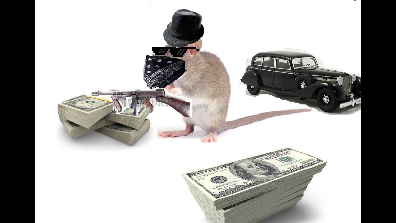 Como es la vida de un ganster- ACE GANGSTER - YouTube