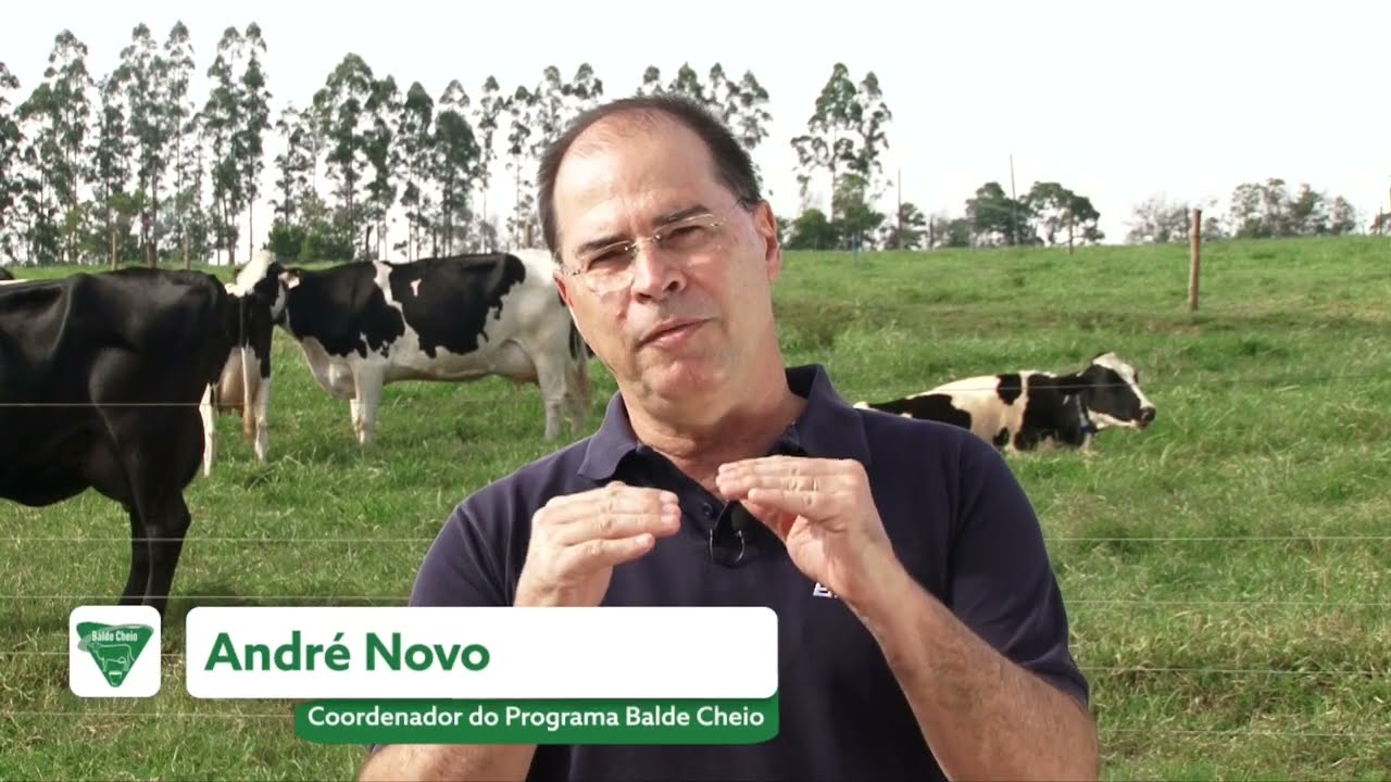 Balde Cheio - Portal Embrapa
