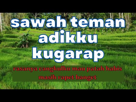 masih muda,mulus dan cantik | cerpen romantis | cerita romantis