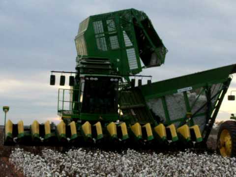 7460 Cotton Stripper Dumping in Boll Buggy - YouTube