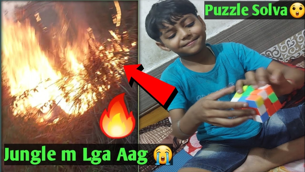 Jungle m Lga Aag 😲🔥जंगल में लगा आग - YouTube
