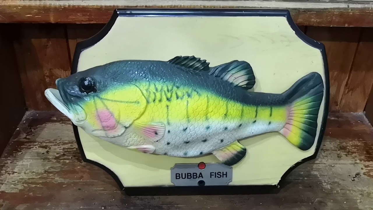 Singing fish "BUbbA FiSh - YouTube