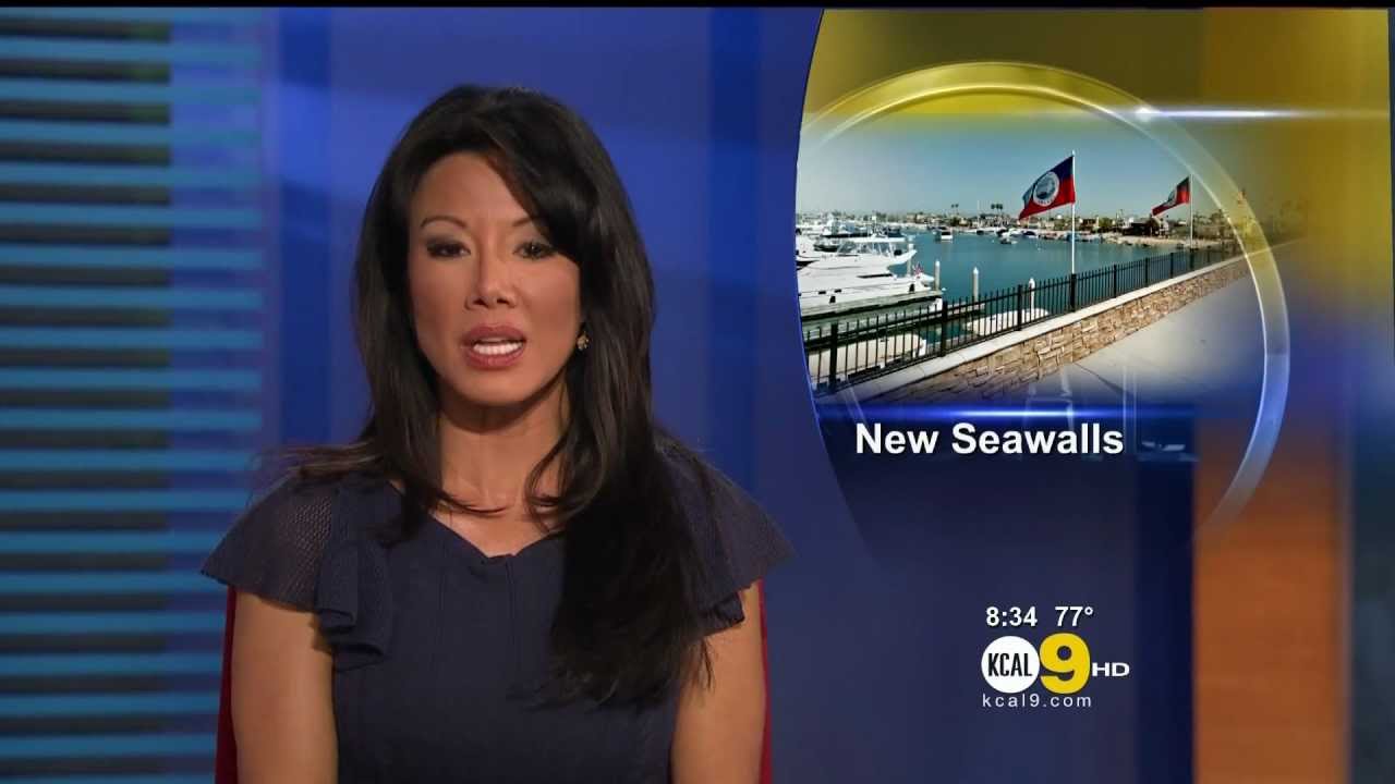 Sharon Tay 2012/08/14 KCAL9 HD - YouTube