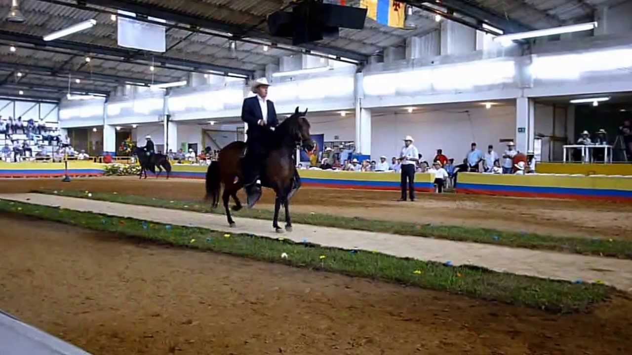 Nube de Encuentro gano en la categoría de 42-48 meses Yeguas Finas 48a ...