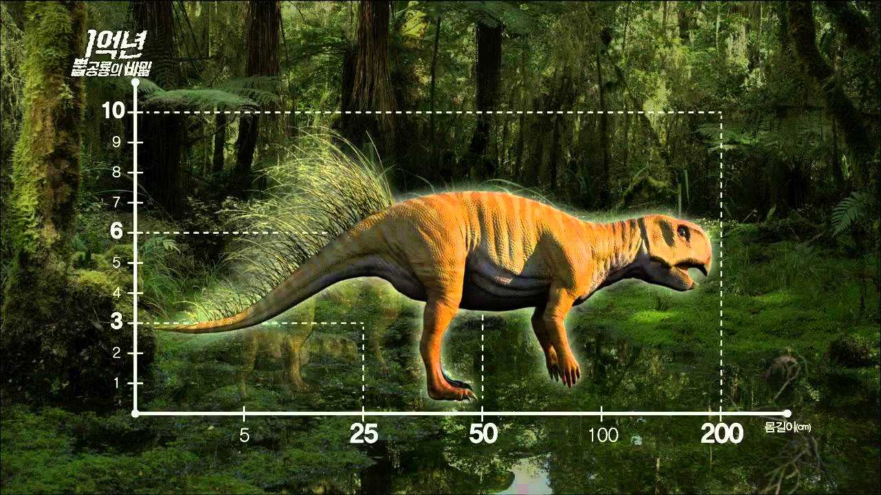 The growth process of Psittacosaurus, MBC Documentary Special 20140203 ...