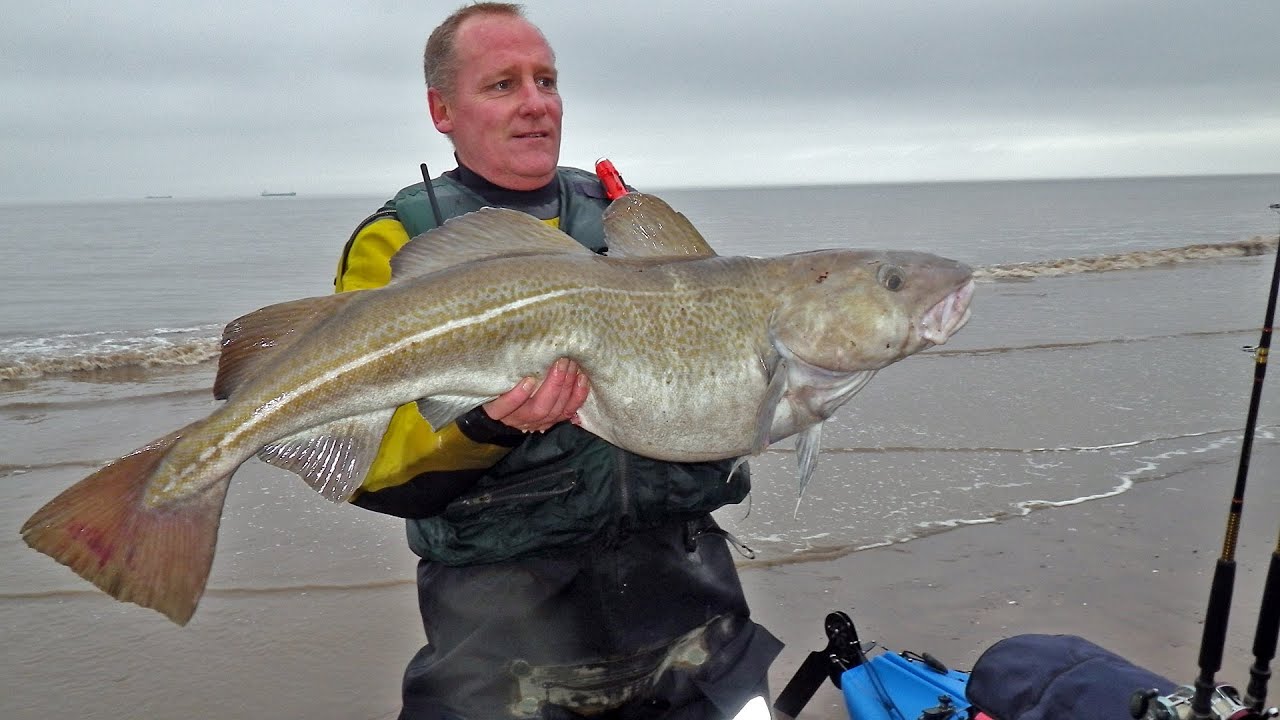 Kayak fishing record cod - YouTube