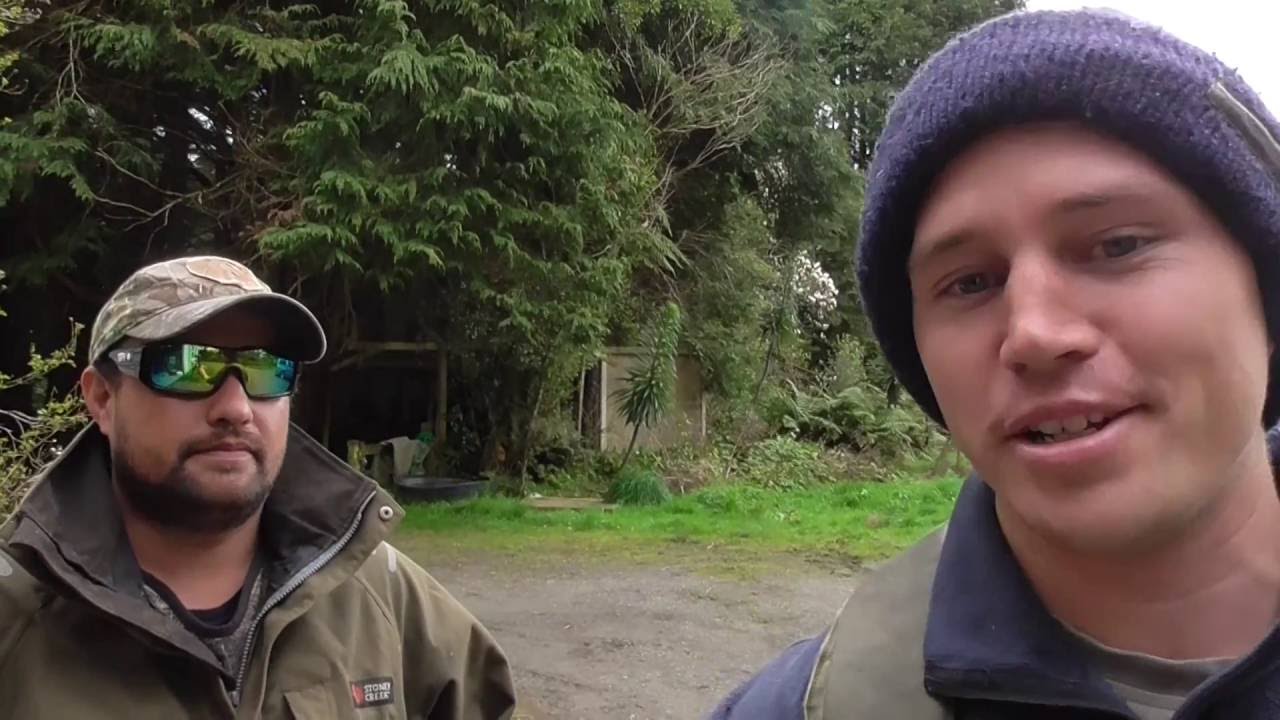 hunting with wilza #ruahinehunter - YouTube