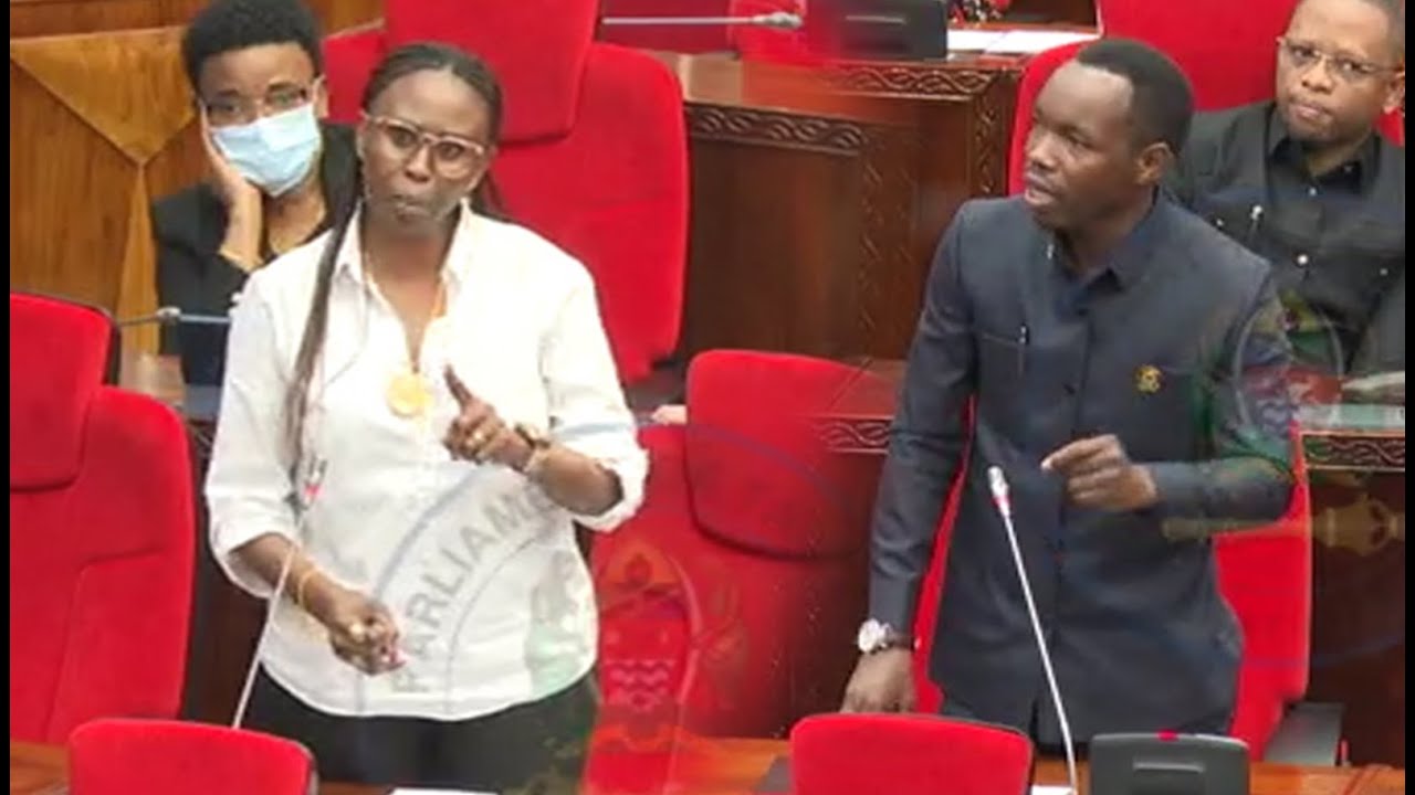 MSIMAMO WA ESTHER BULAYA BUNGENI “RAIS MNAMSHAURI VIBAYA NA WANANCHI ...