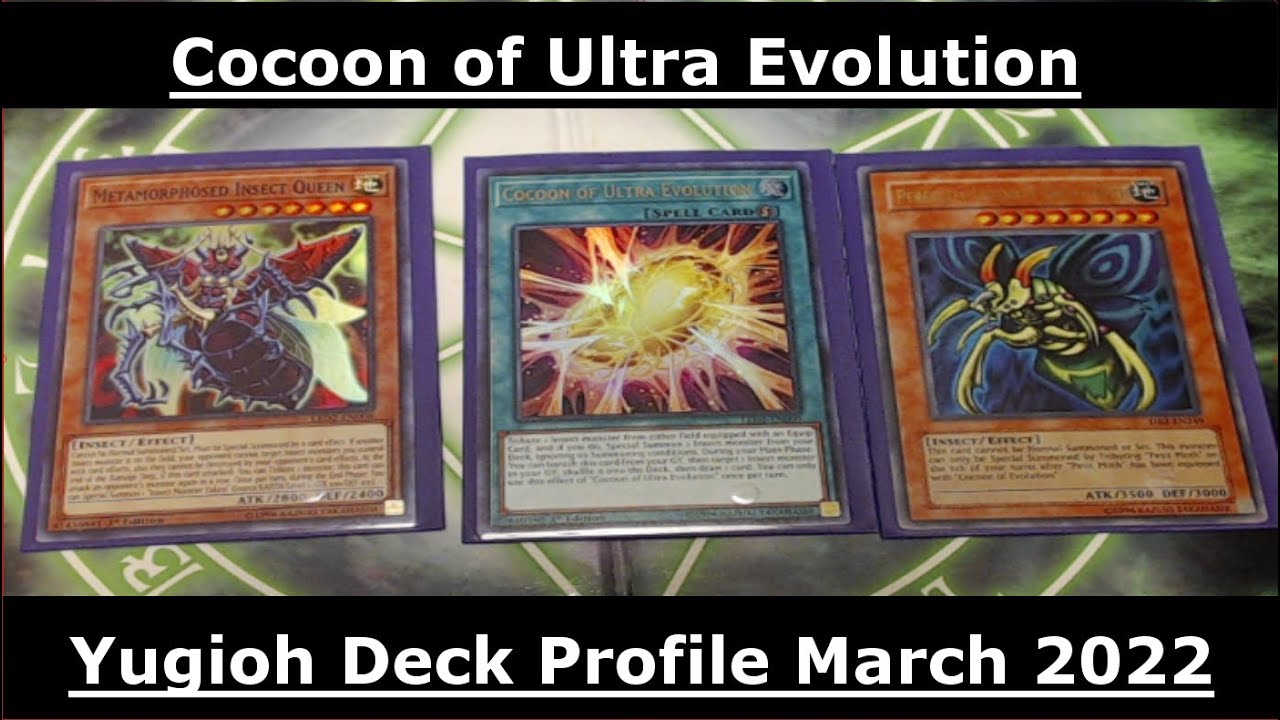 Cocoon of Evolution Yugioh Deck Profile - YouTube