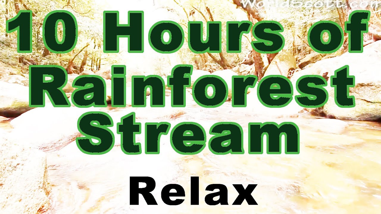 10 hours of rainforest stream and sounds in Full HD. Rainforest Relaxation. - YouTube